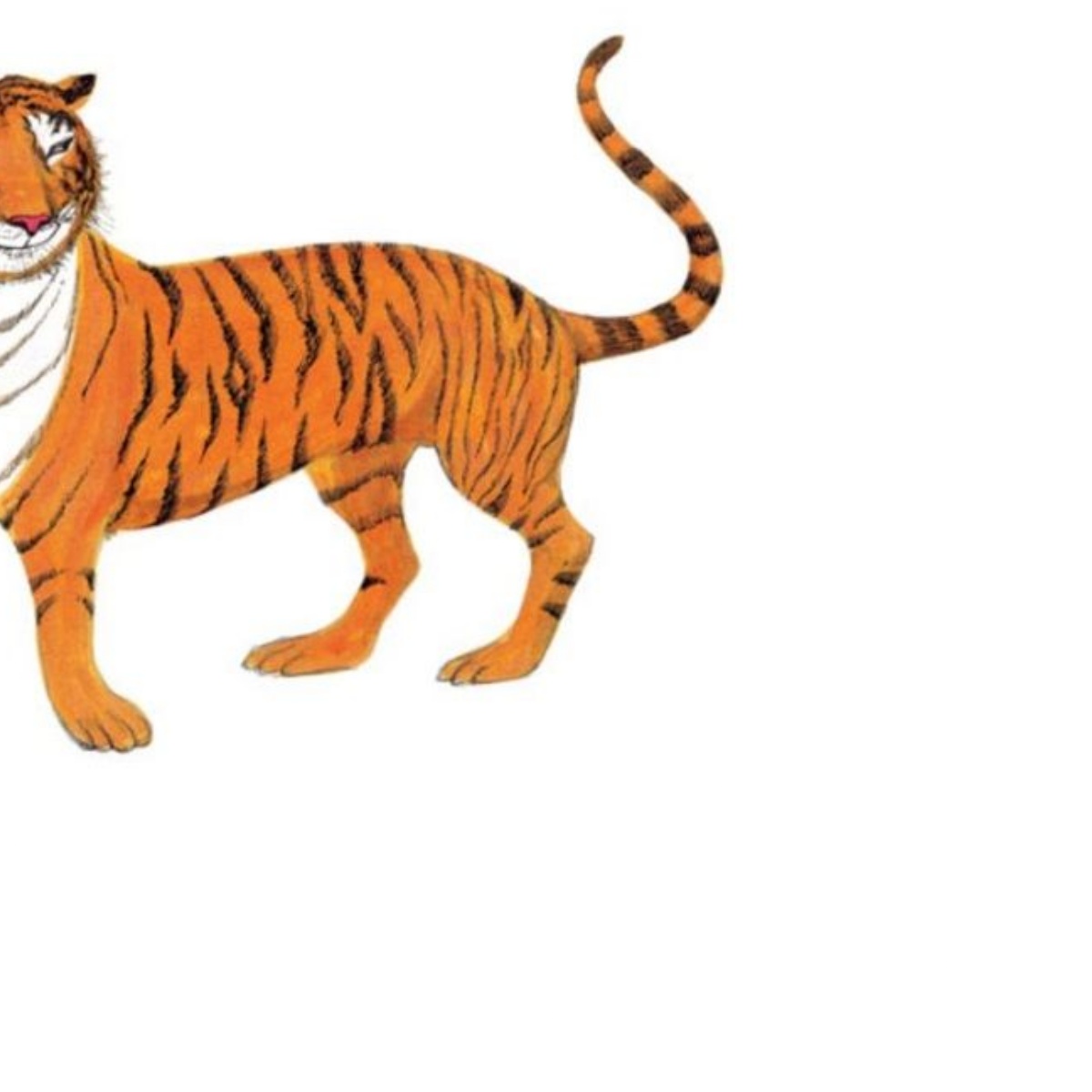 Heaton Avenue, A SHARE Primary Academy - The Tiger Who Came to Tea